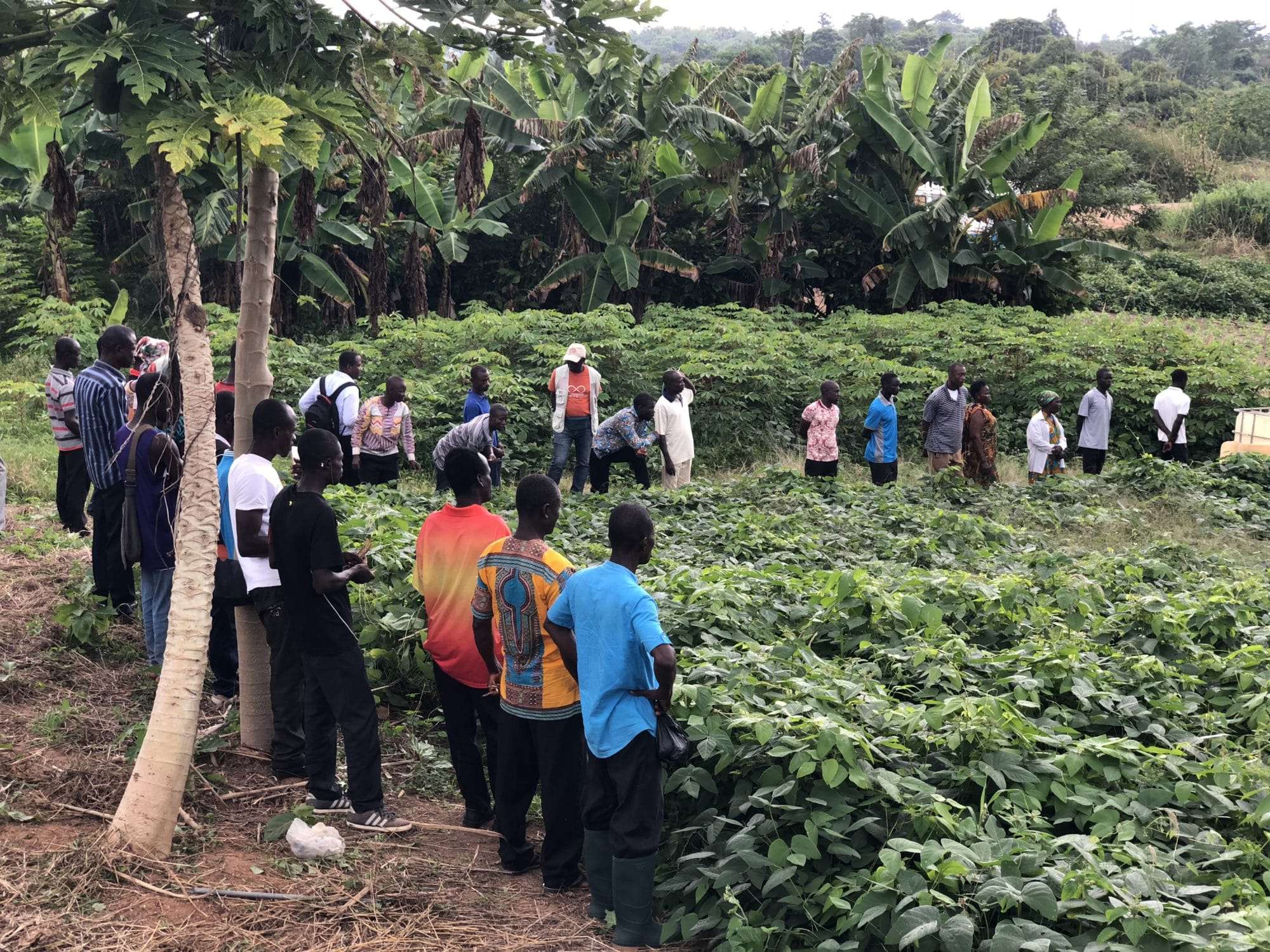 Promoting Conservation Agriculture Among Rural Farmers in Ghana – Grow ...