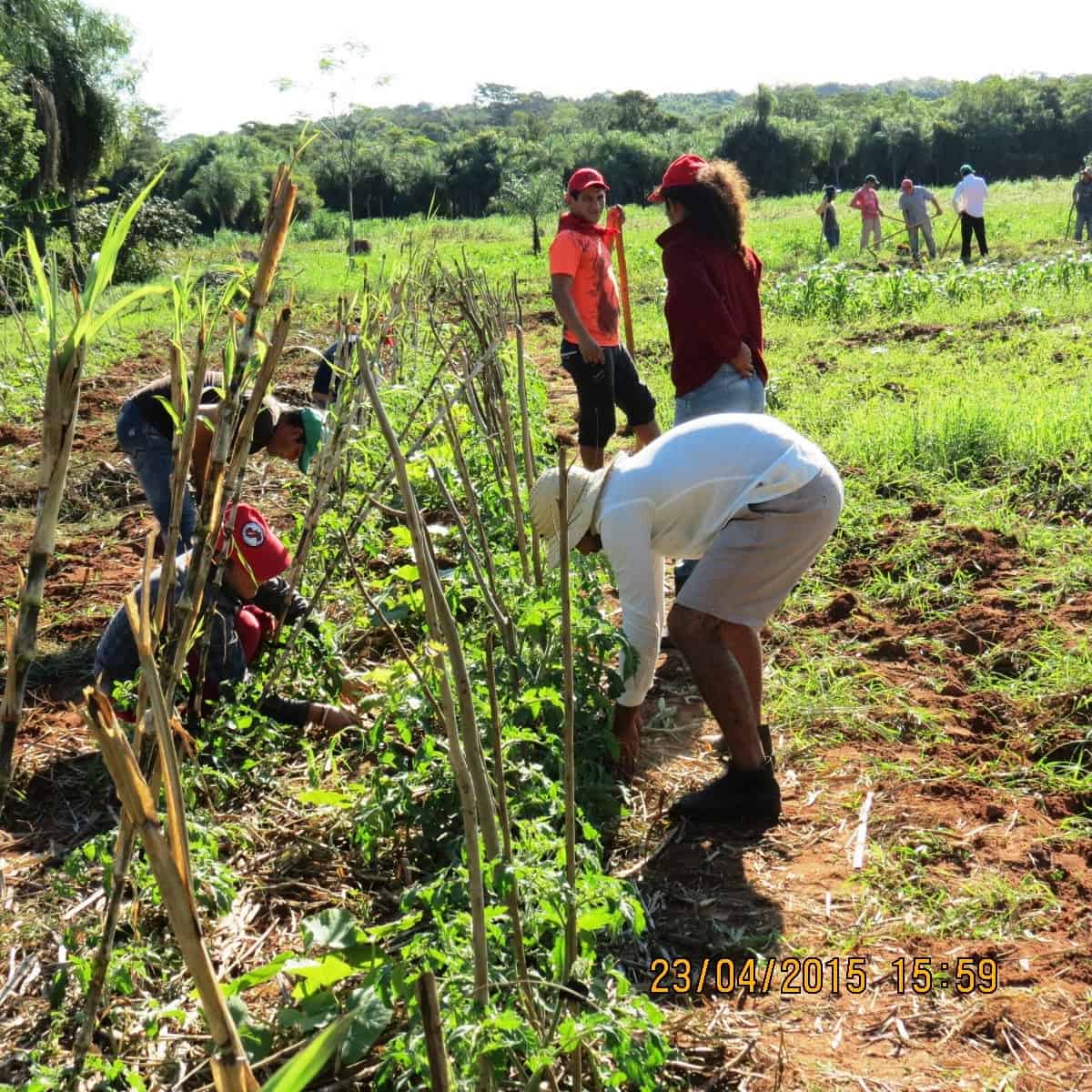 A Farmer-Led Vision for a New Food System in Paraguay – Grow Ahead