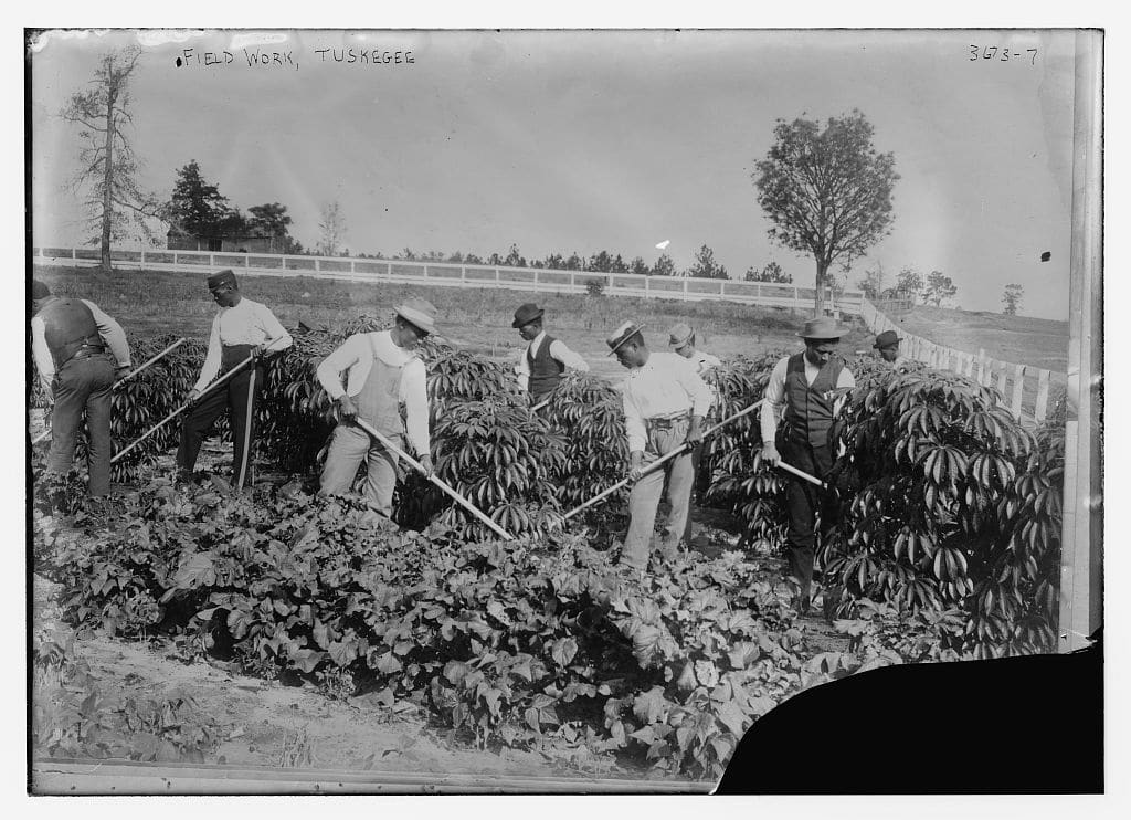 Black Farmers in America: A Legacy of Hardship and Resilience – Grow Ahead