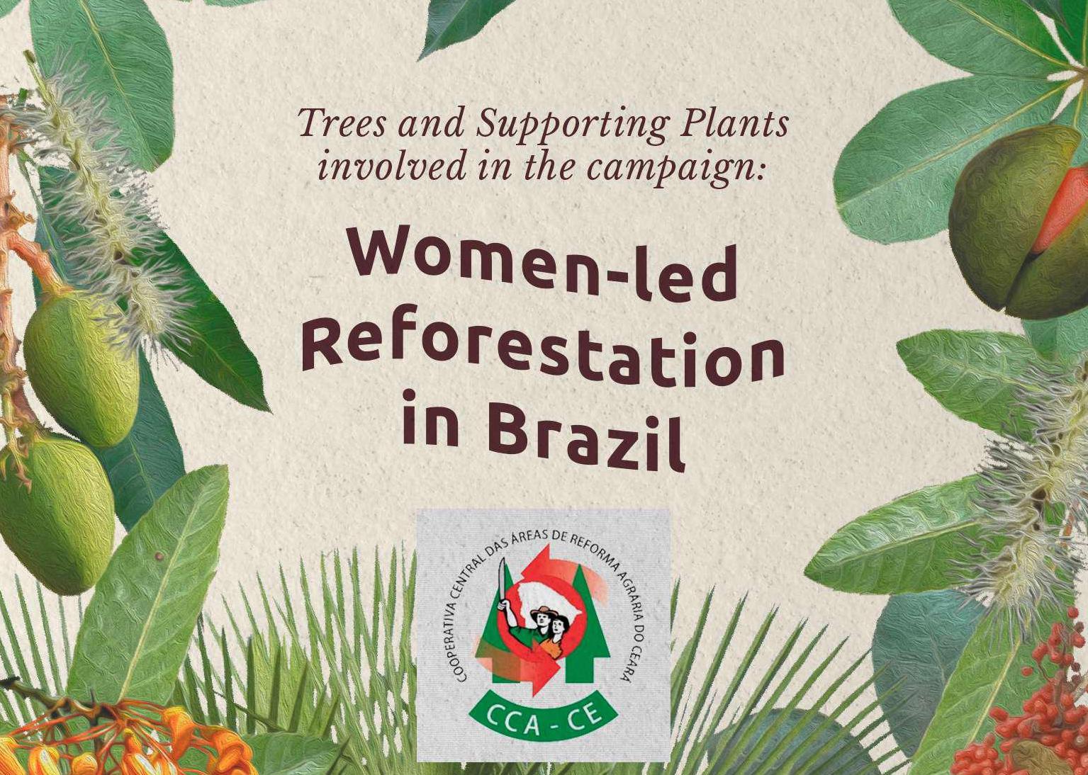 Women-led Reforestation in Brazil: Trees and Supporting Plants · Grow Ahead